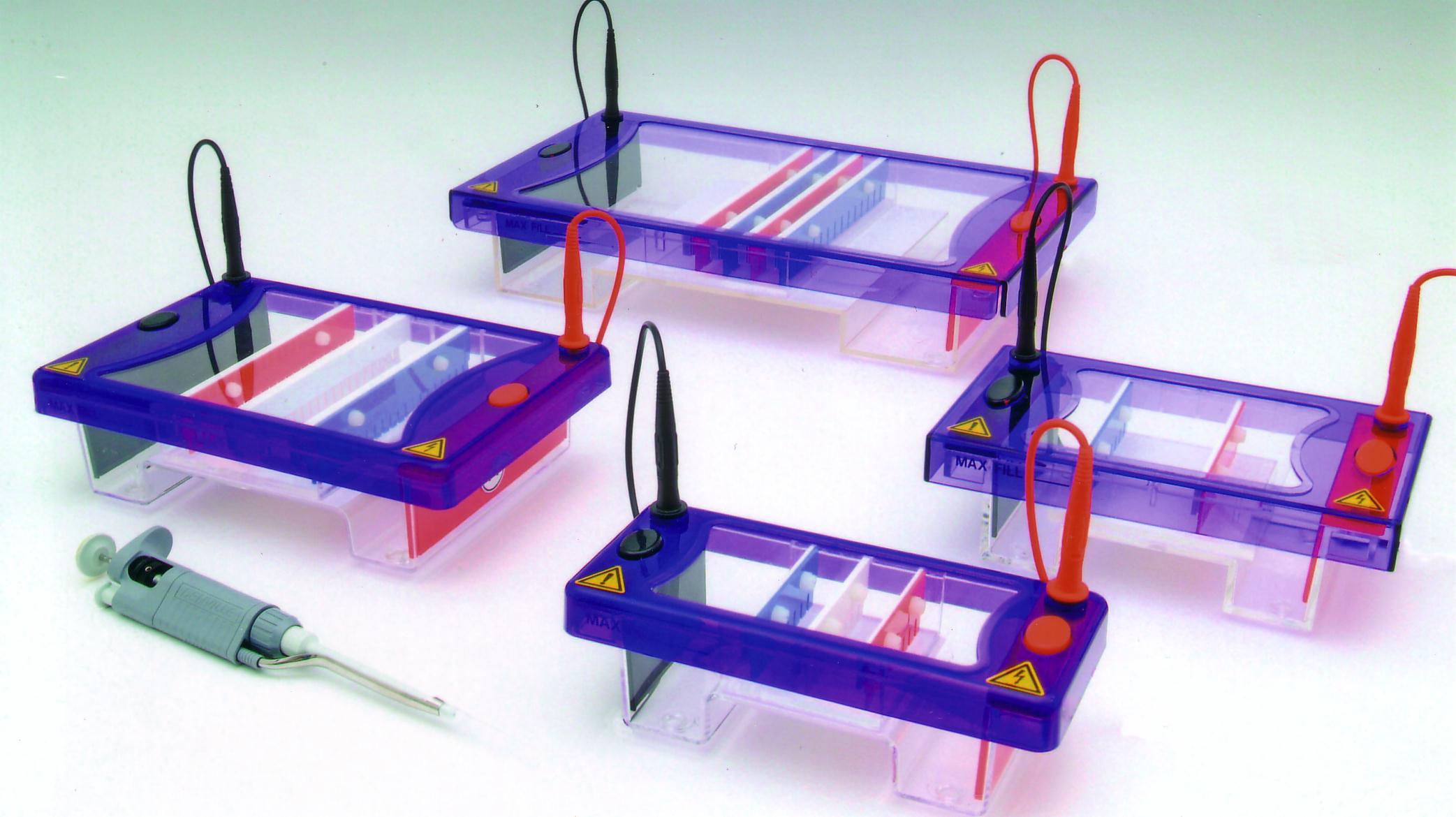 FAST, FLEXIBLE AND CONVENIENT ELECTROPHORESIS