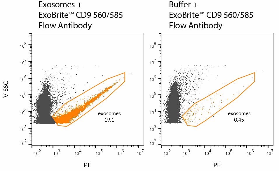 Biotium Introduces New Line of Antibodies for Exosome Detection
