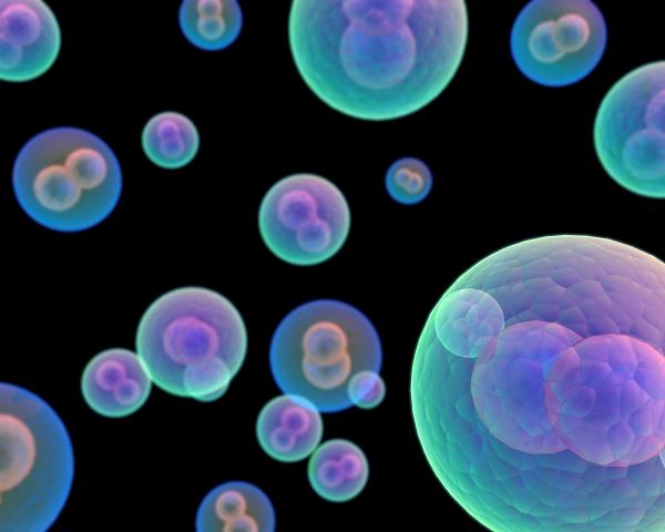 Sera Lab offers comprehensive range of recombinant proteins from a ...