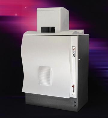 Syngene Image Analyser Used at One of World