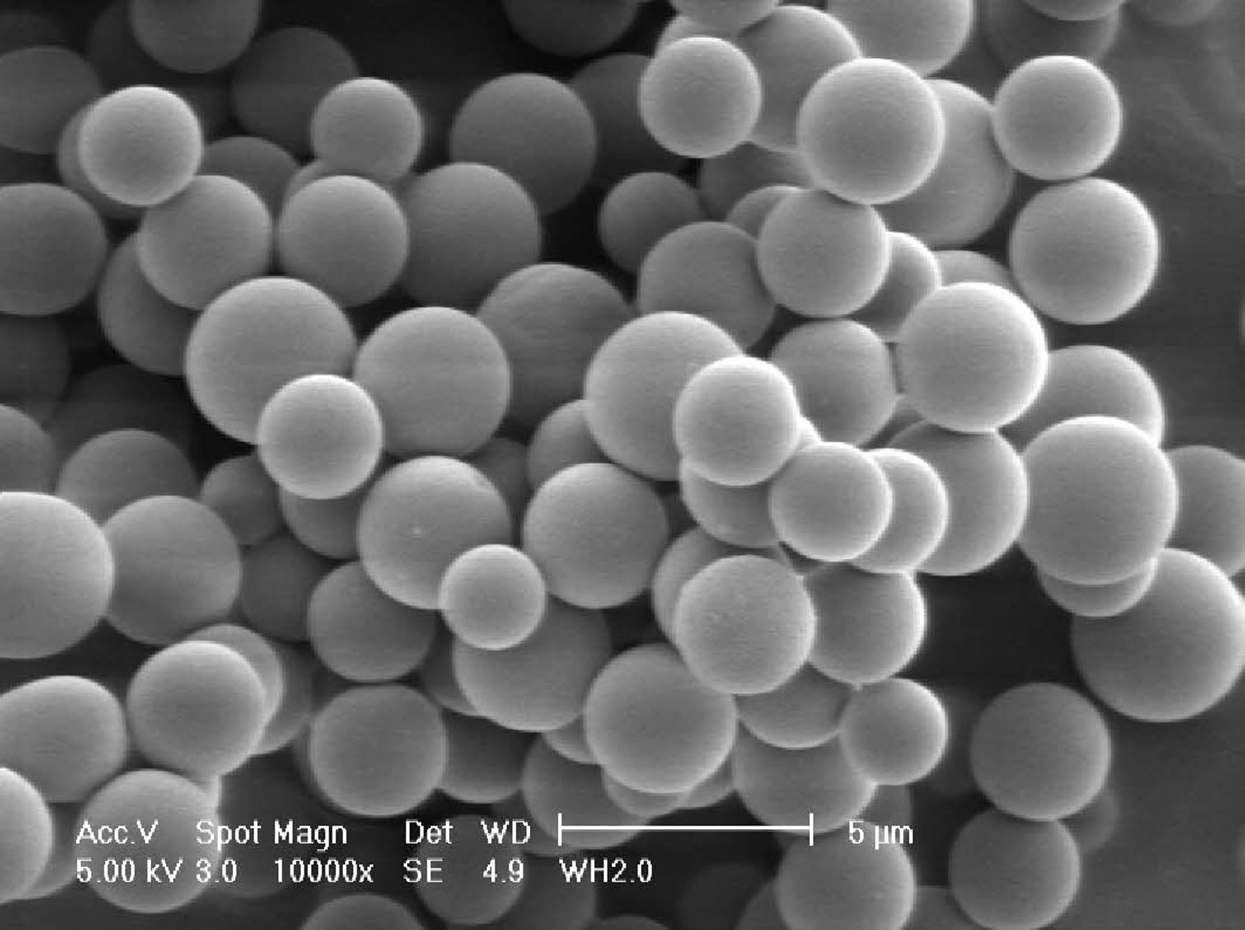 Whitehouse Scientific introduces new certified silica microspheres