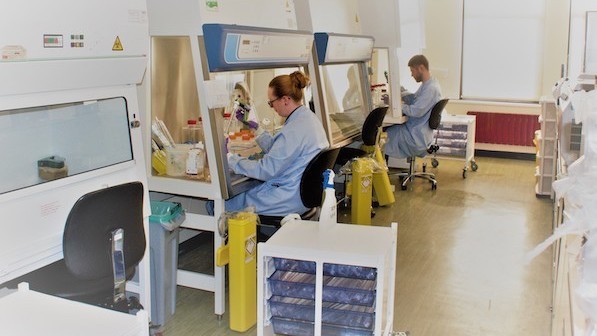 Absolute Antibody Expands to Support Growth