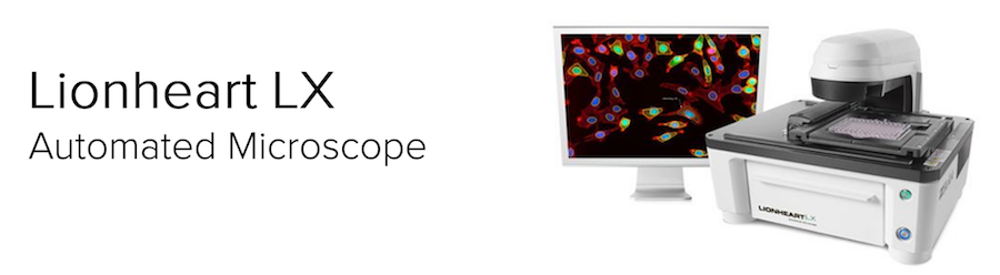 New Affordable Lionheart